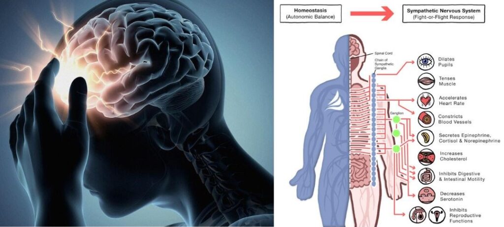 Concussion Recovery: Why Your Brain Needs More Than Rest , And What ...